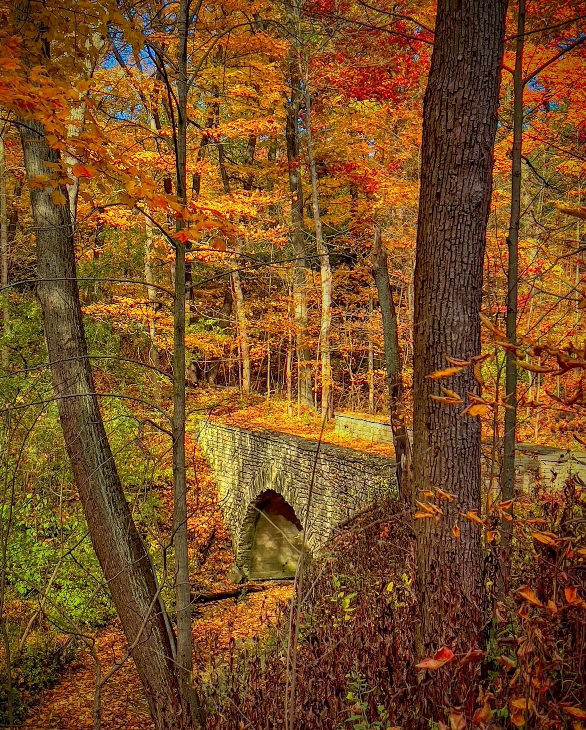 Early Autumn Walk | Scrolller