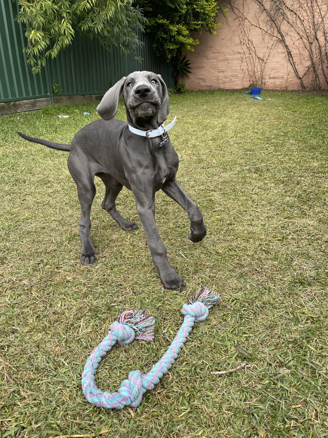 Tug life | Scrolller