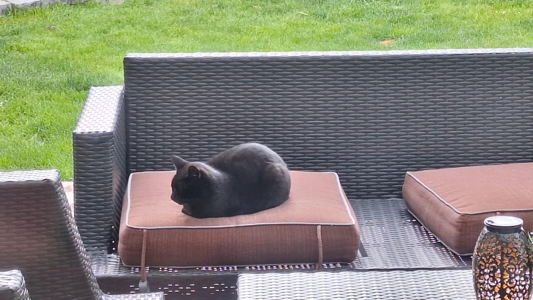 I spotted a burnt loaf outside | Scrolller