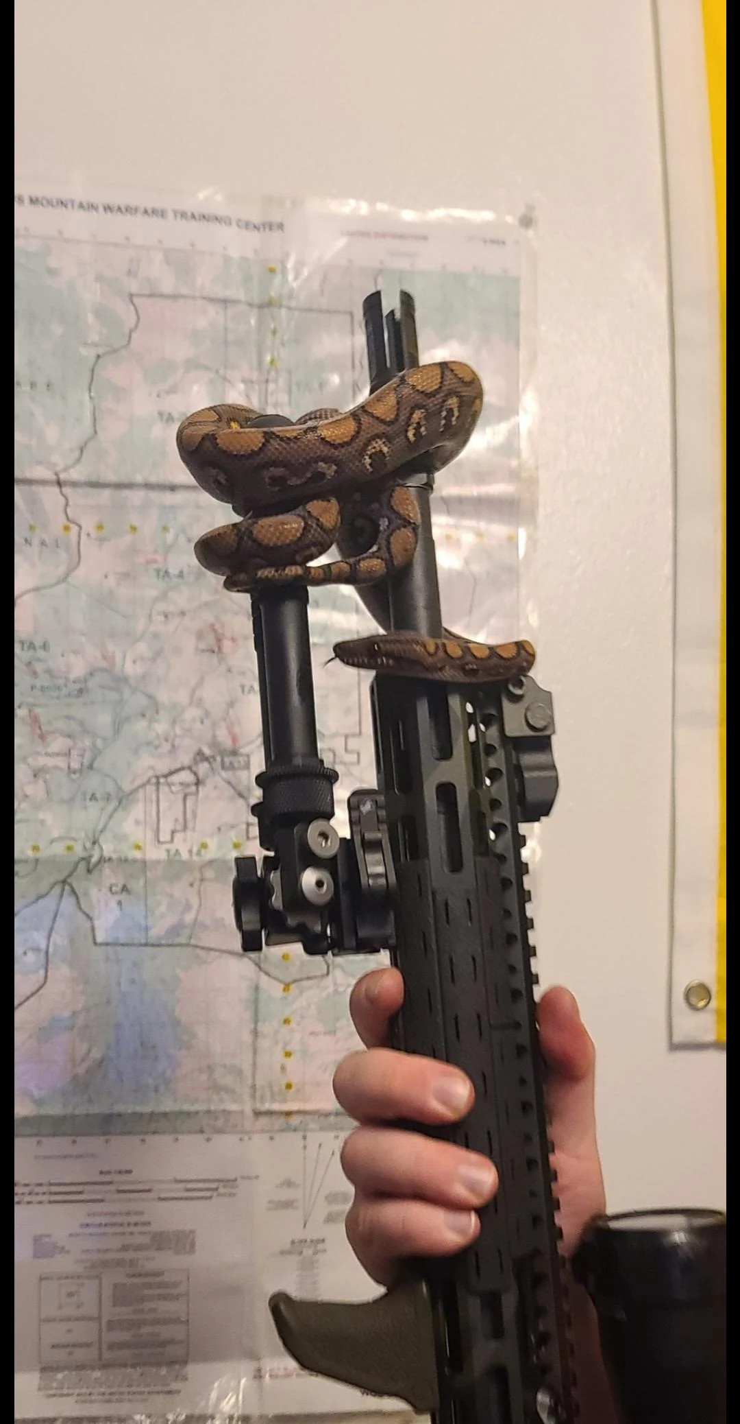 POV: You tried to tread on him | Scrolller