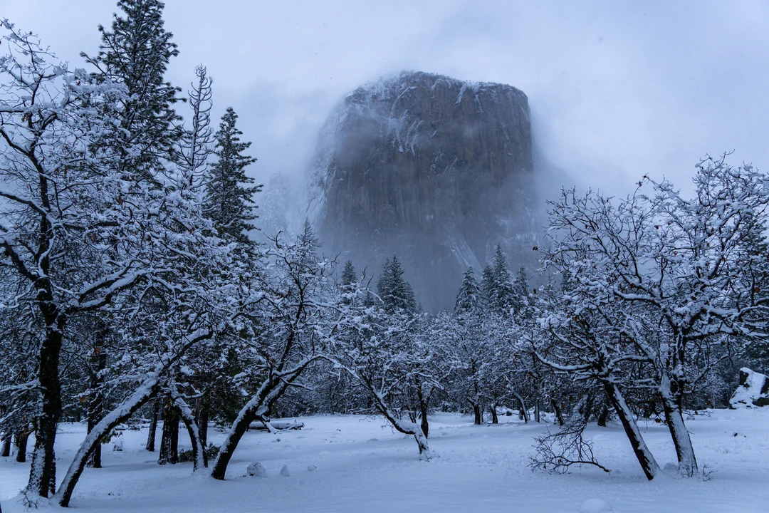 El Capitan through the storm clouds. Yosemite National Park, CA. [6000x4000] [OC] | Scrolller