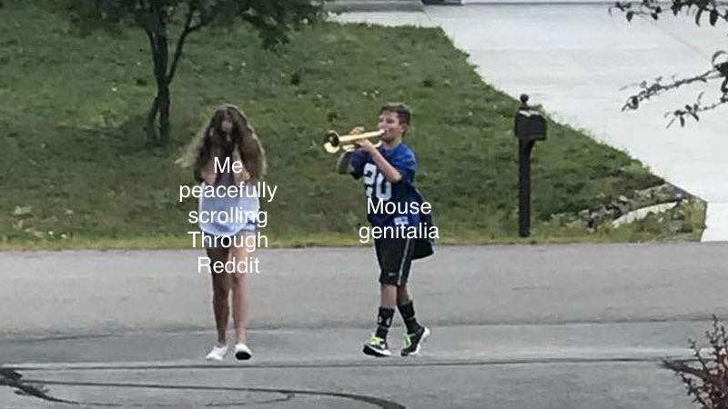 Every single day | Scrolller