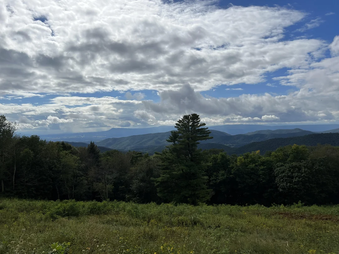 Remote all season cabin | Scrolller