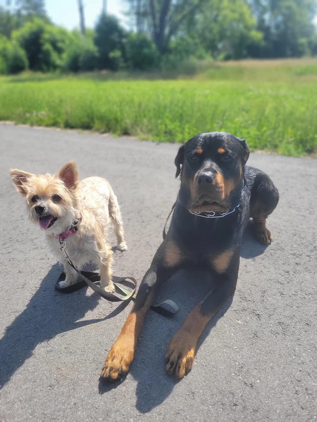 Best buds | Scrolller