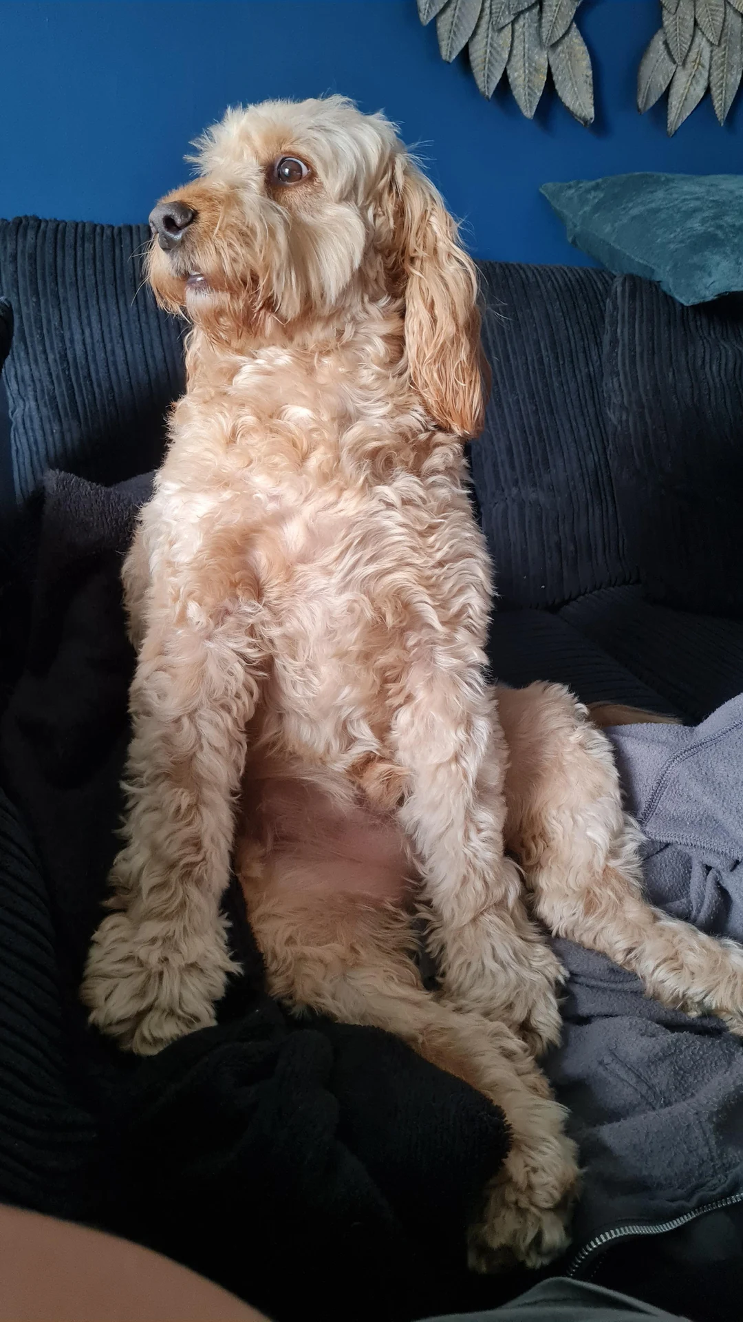 Who is this distinguished gentleman sitting so gentleman-like. | Scrolller