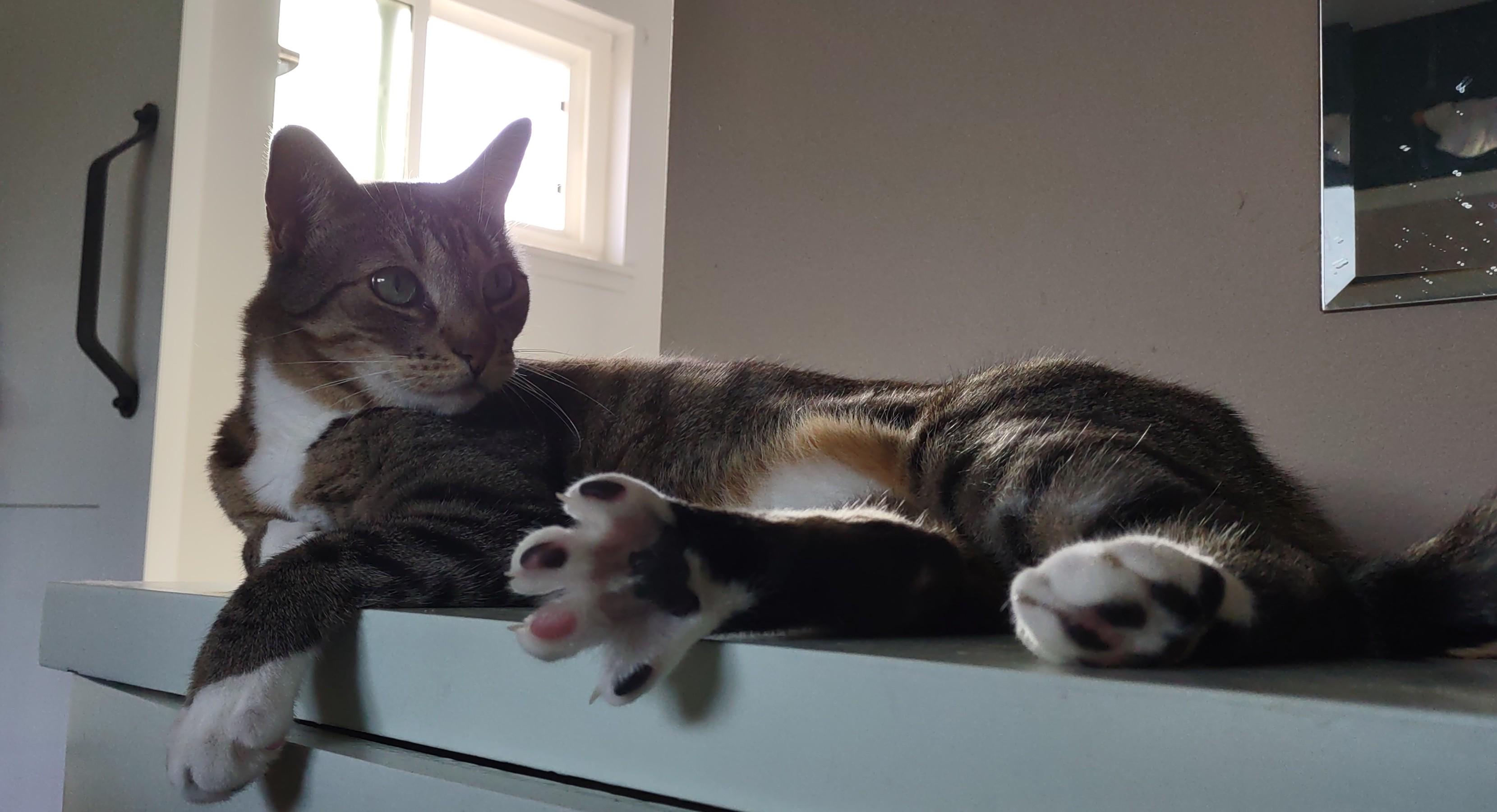 Ursa's hind beans on full display. | Scrolller