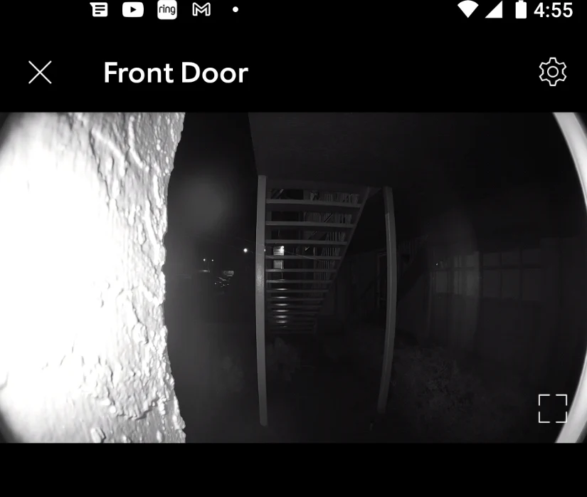 Early Morning Visitor The Set Off My Ring Doorbell Motion Detection | Scrolller