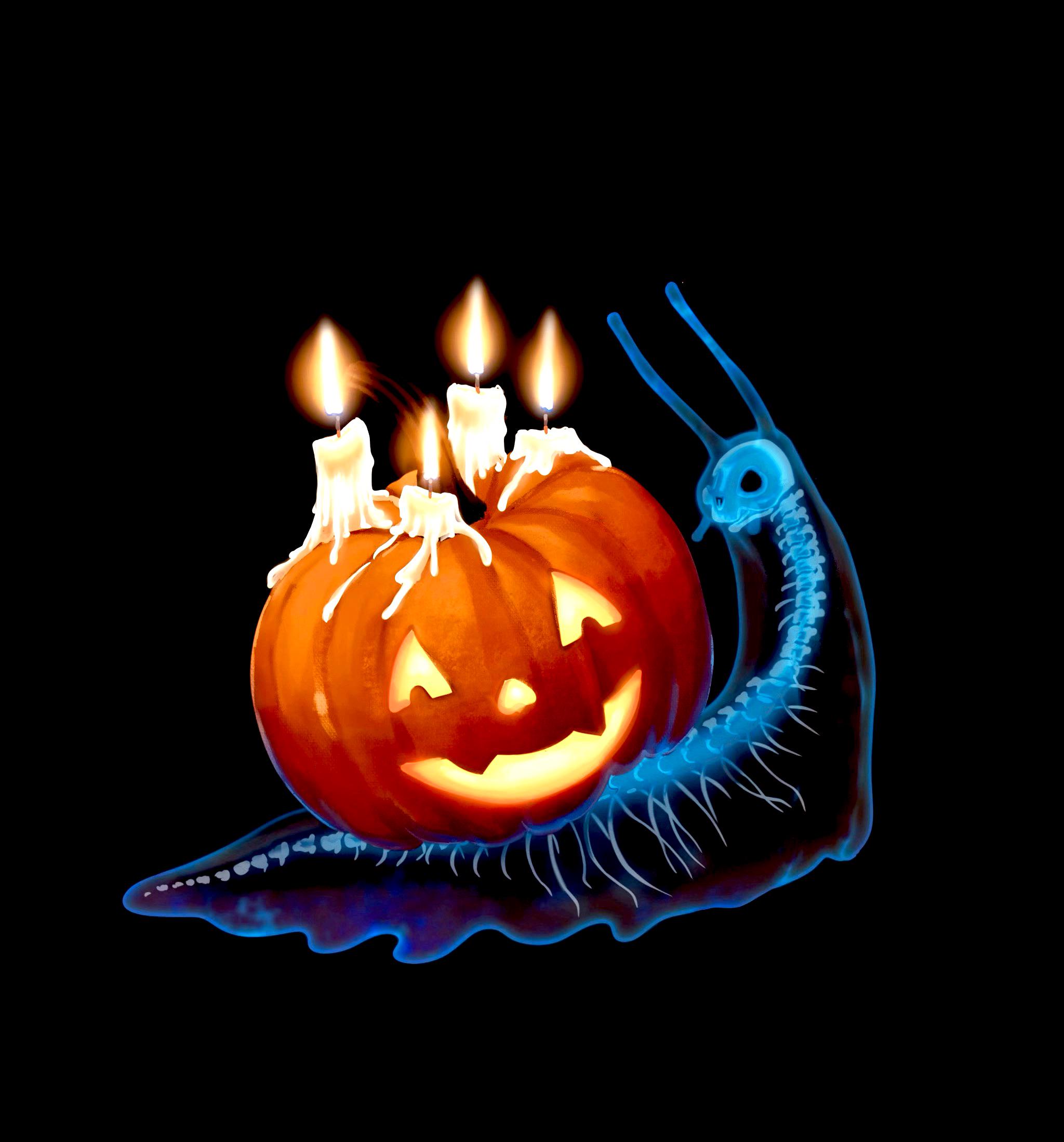 Ghost snail | Scrolller