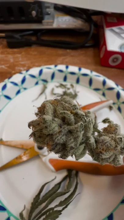 Some of my homegrown hows it look | Scrolller