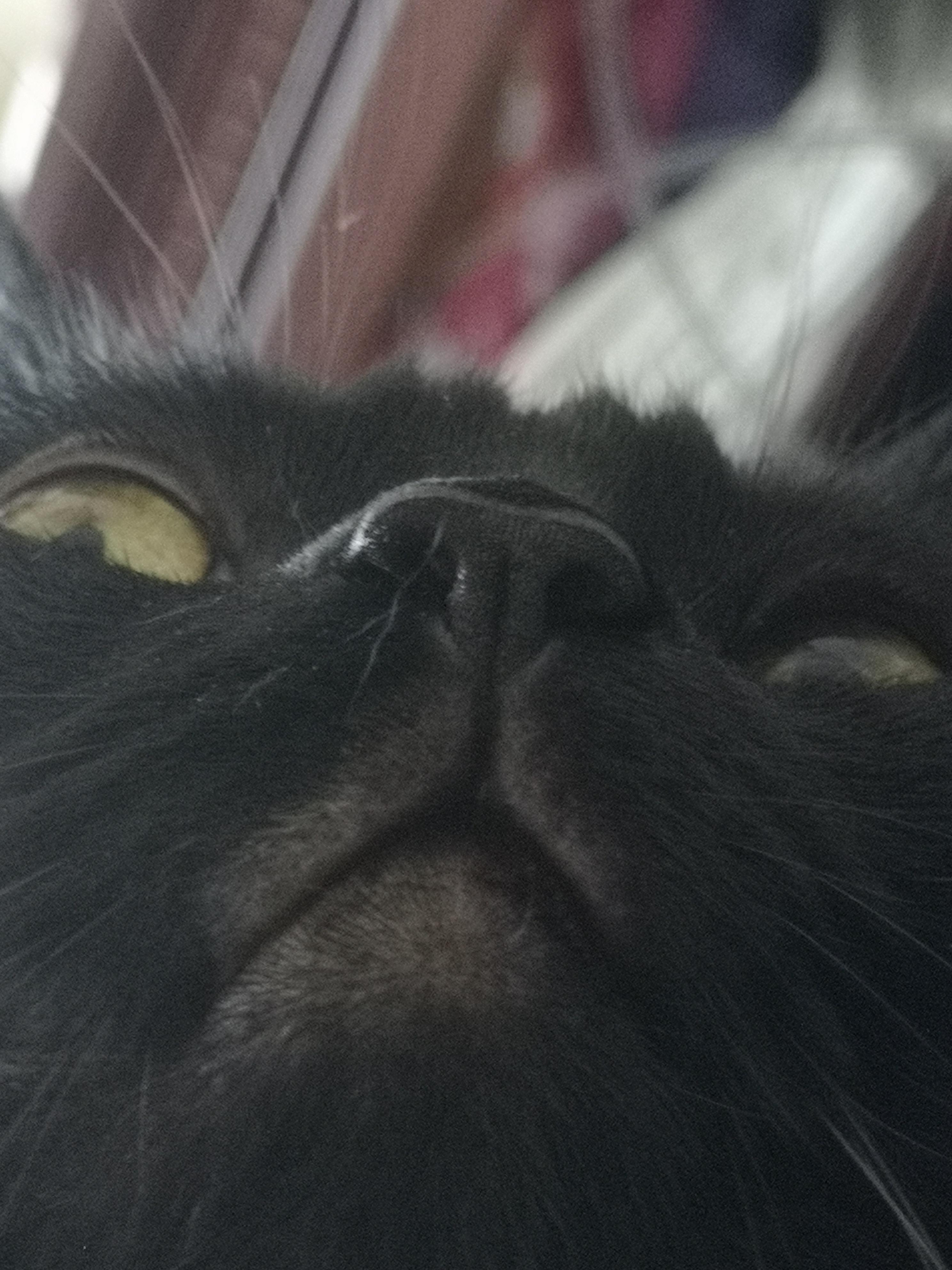 She's watching you | Scrolller