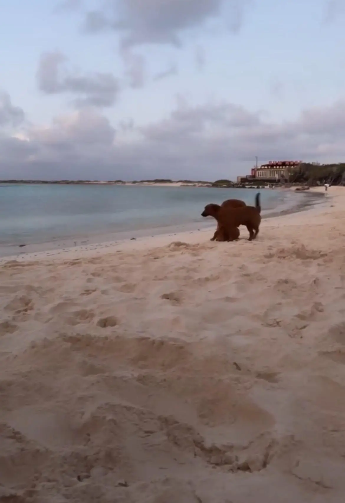 Baby Beach, Aruba | Scrolller