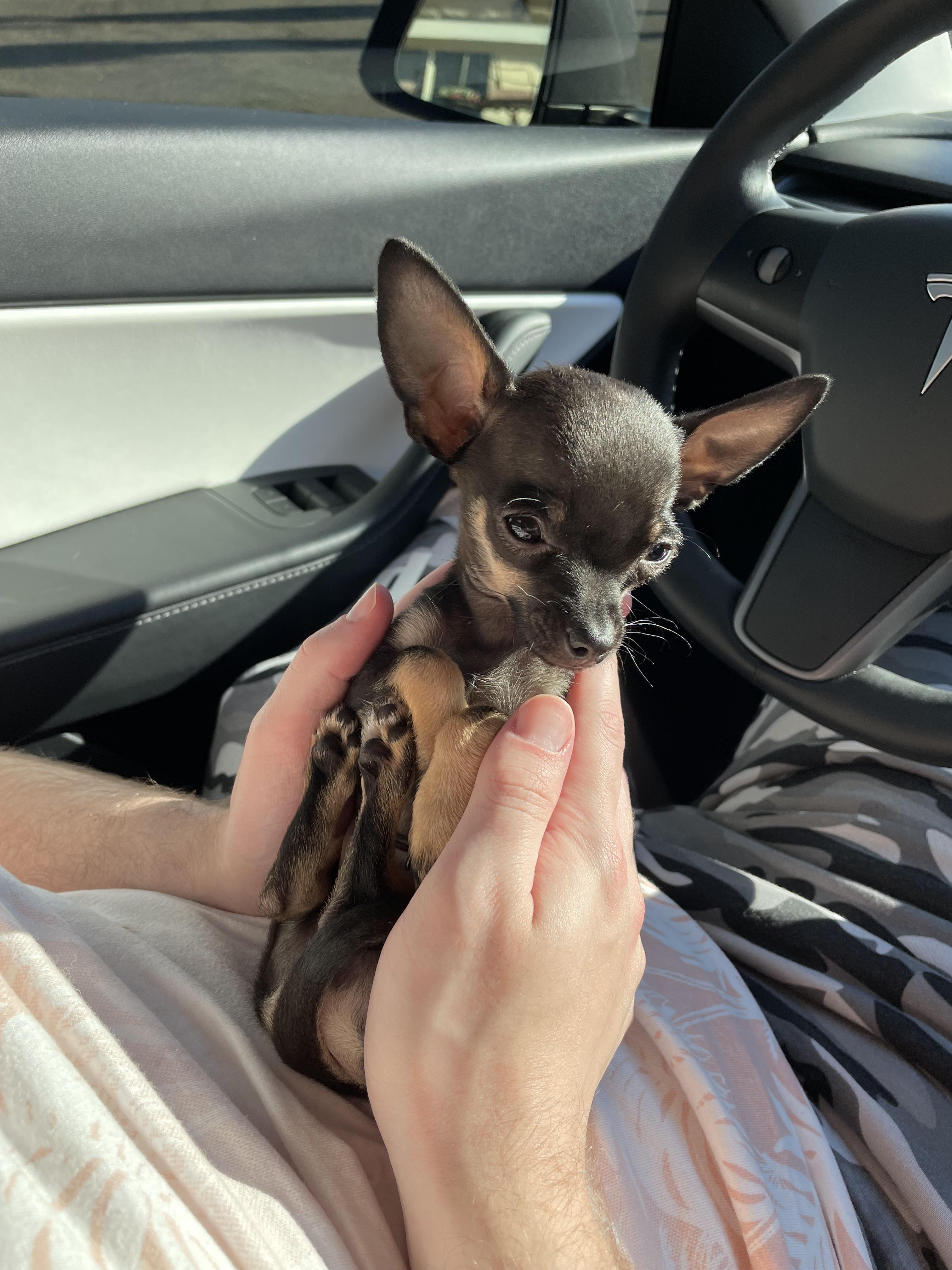 Baby Lua | Scrolller