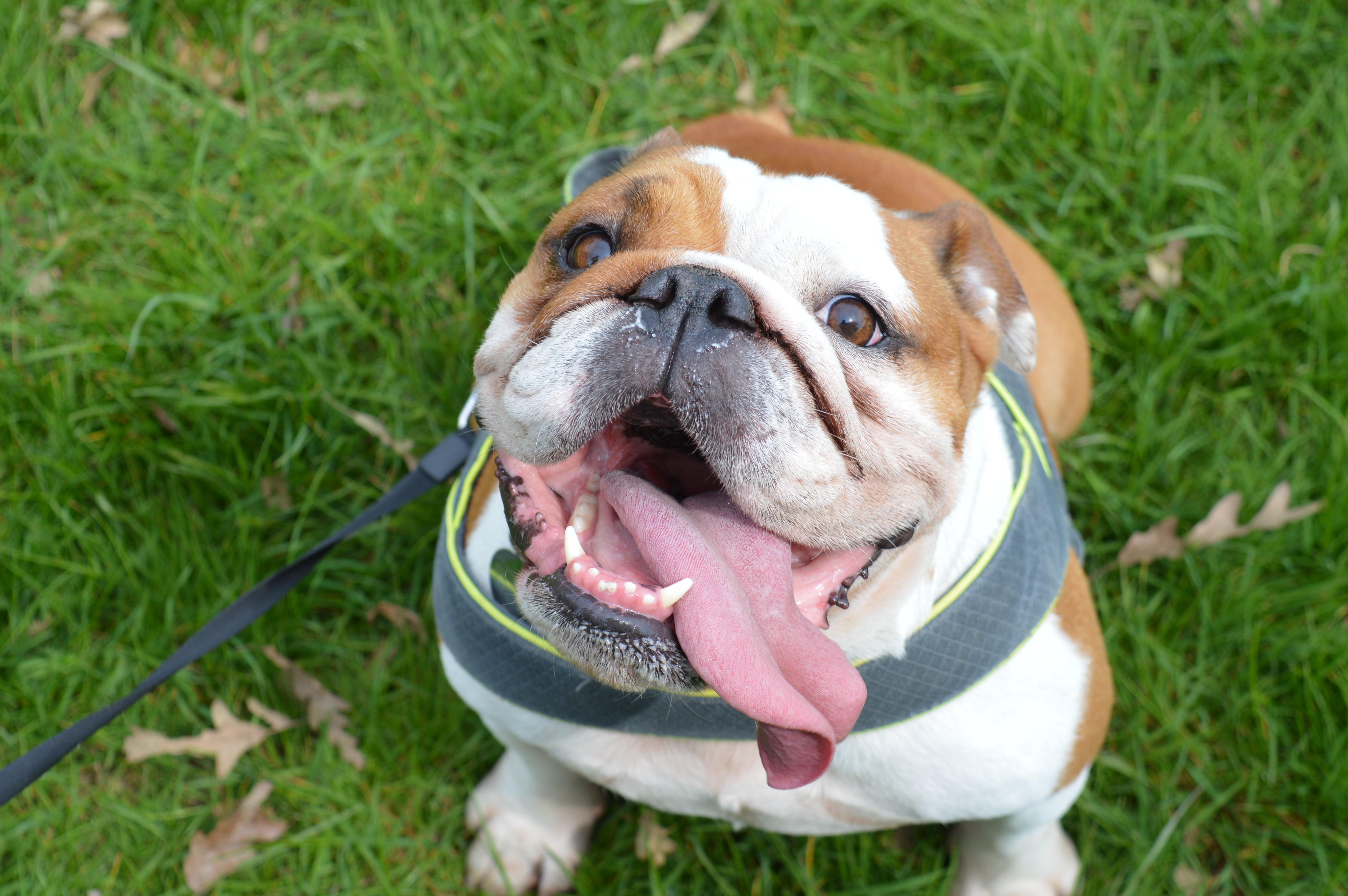 Babygurl Ruby ready for her close up | Scrolller