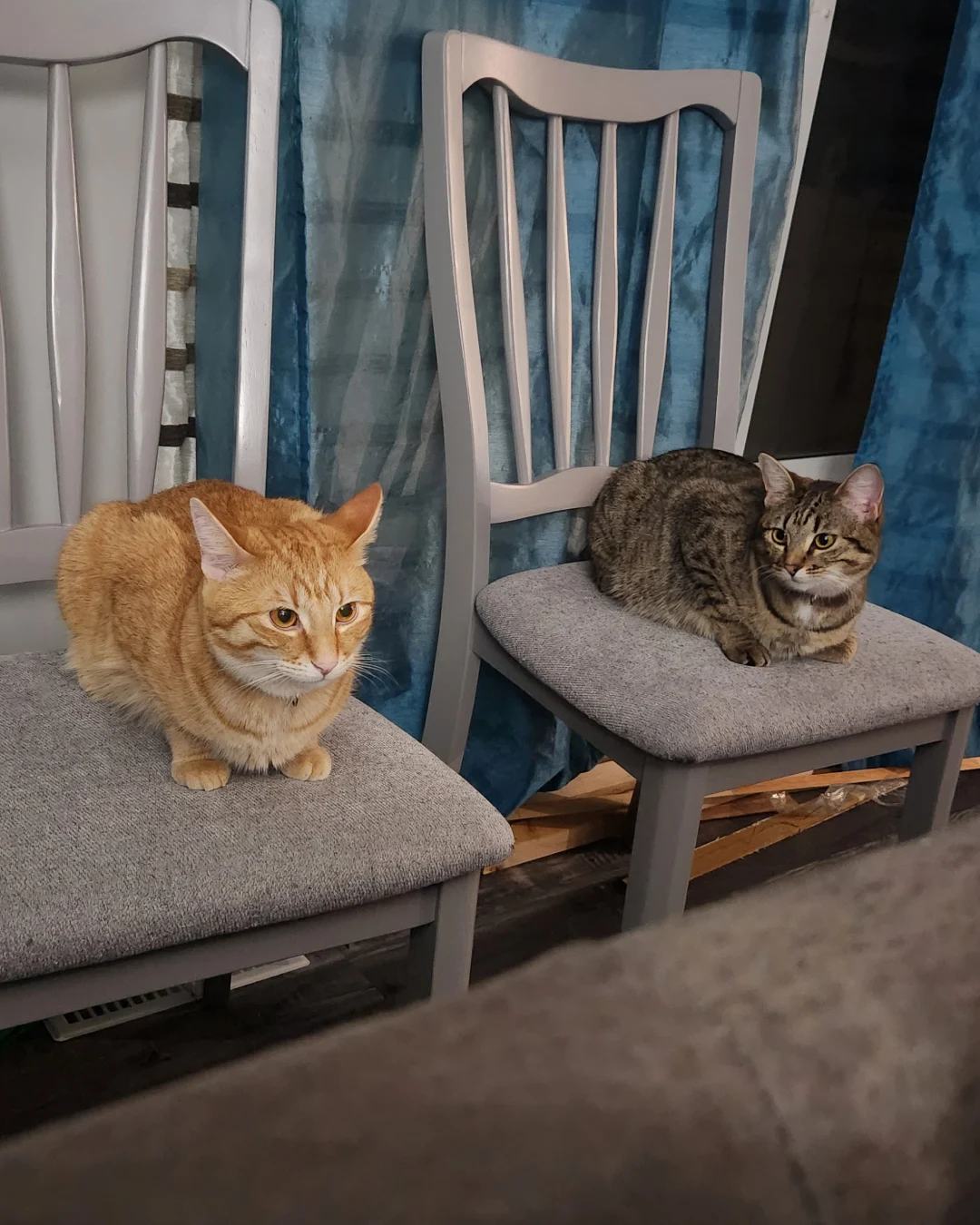 Double Loaves | Scrolller