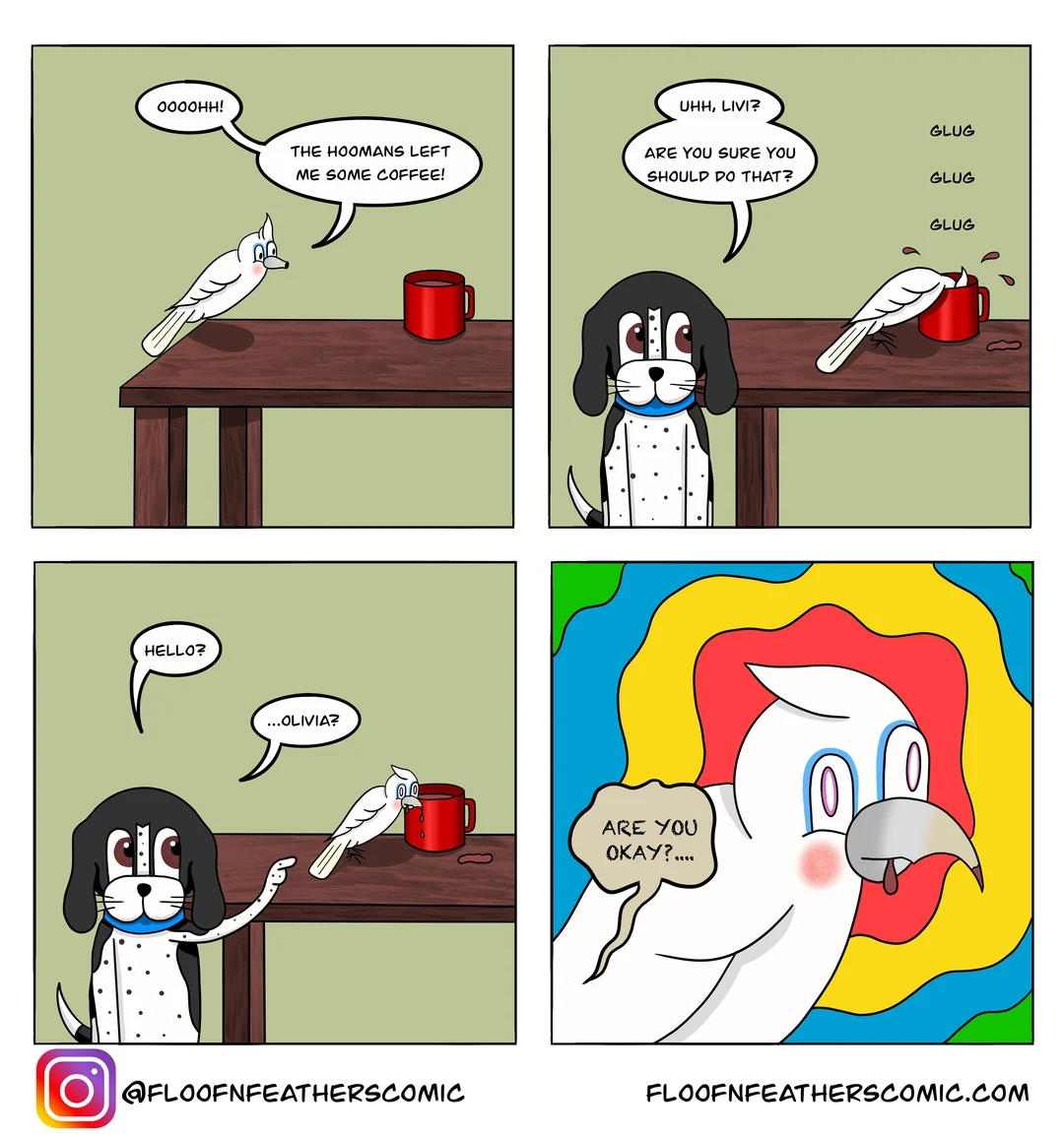 Caffeine Cockatoo (Floof n’ Feathers webcomic series) | Scrolller