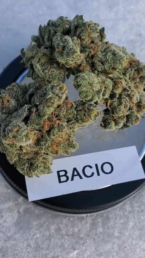 Discover more like Nugs: Bacio Gelato and Related Content | Scrolller