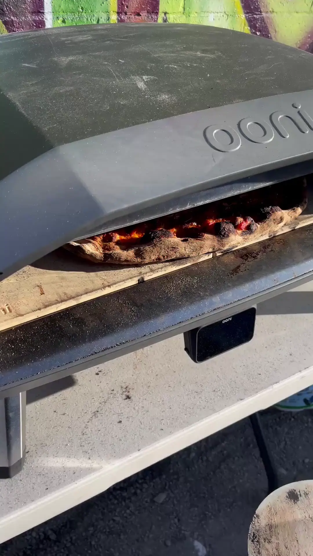 Back at it again | Scrolller