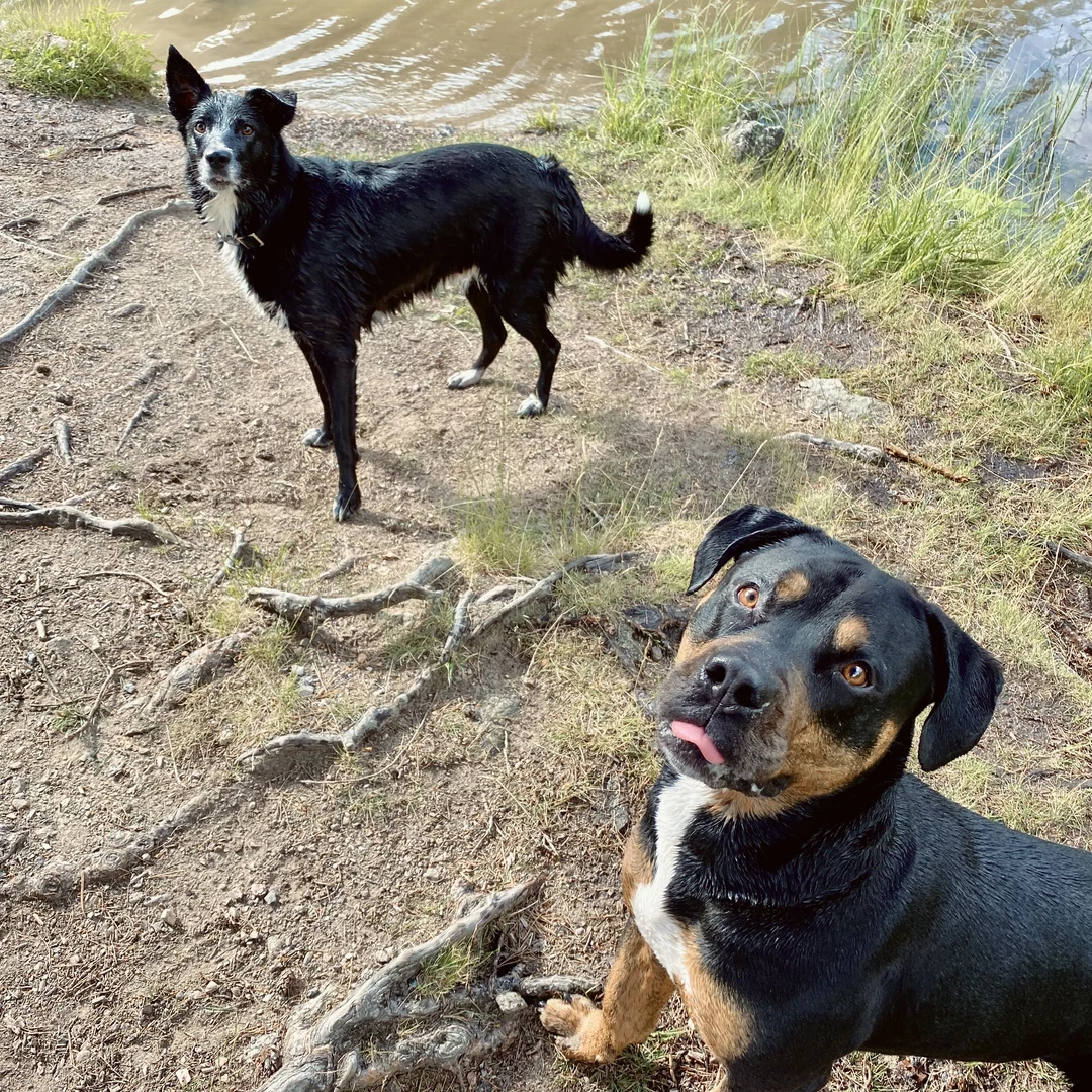 POV: You are holding a stick | Scrolller