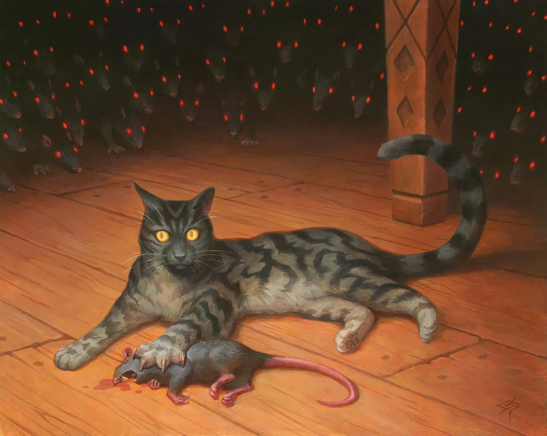 Storeroom Tabby by Steve Prescott | Scrolller