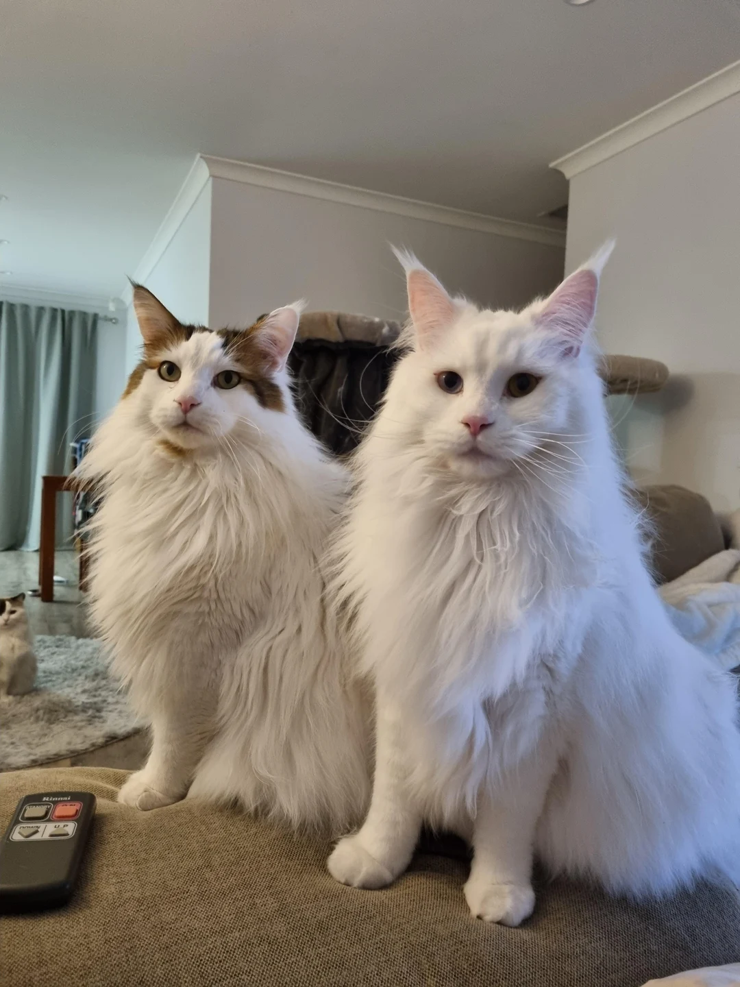 The boyz | Scrolller