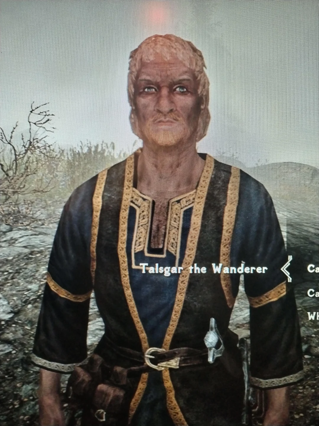 Blue and Yellow costume, "The Wanderer". Fallout reference? | Scrolller