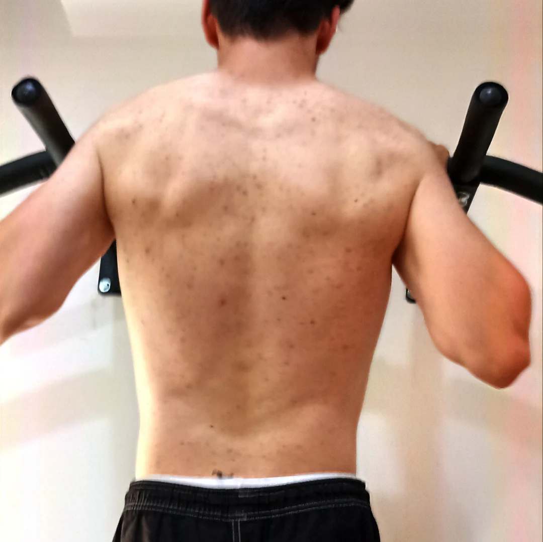 Back Gains: 1 Year of Pull-Ups | Scrolller