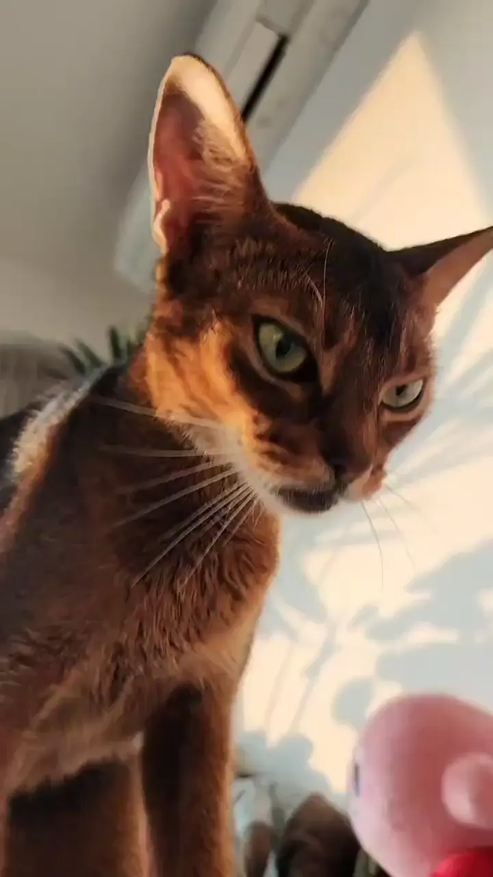 Baking day | Scrolller