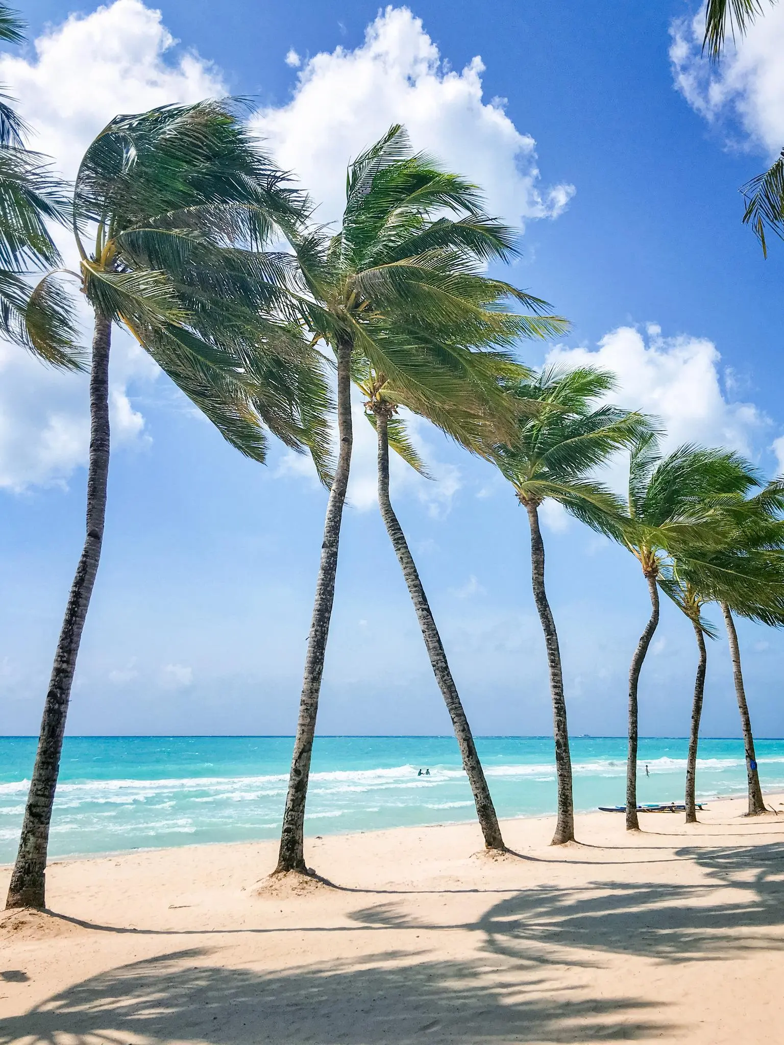 Barefoot and beach bound | Scrolller