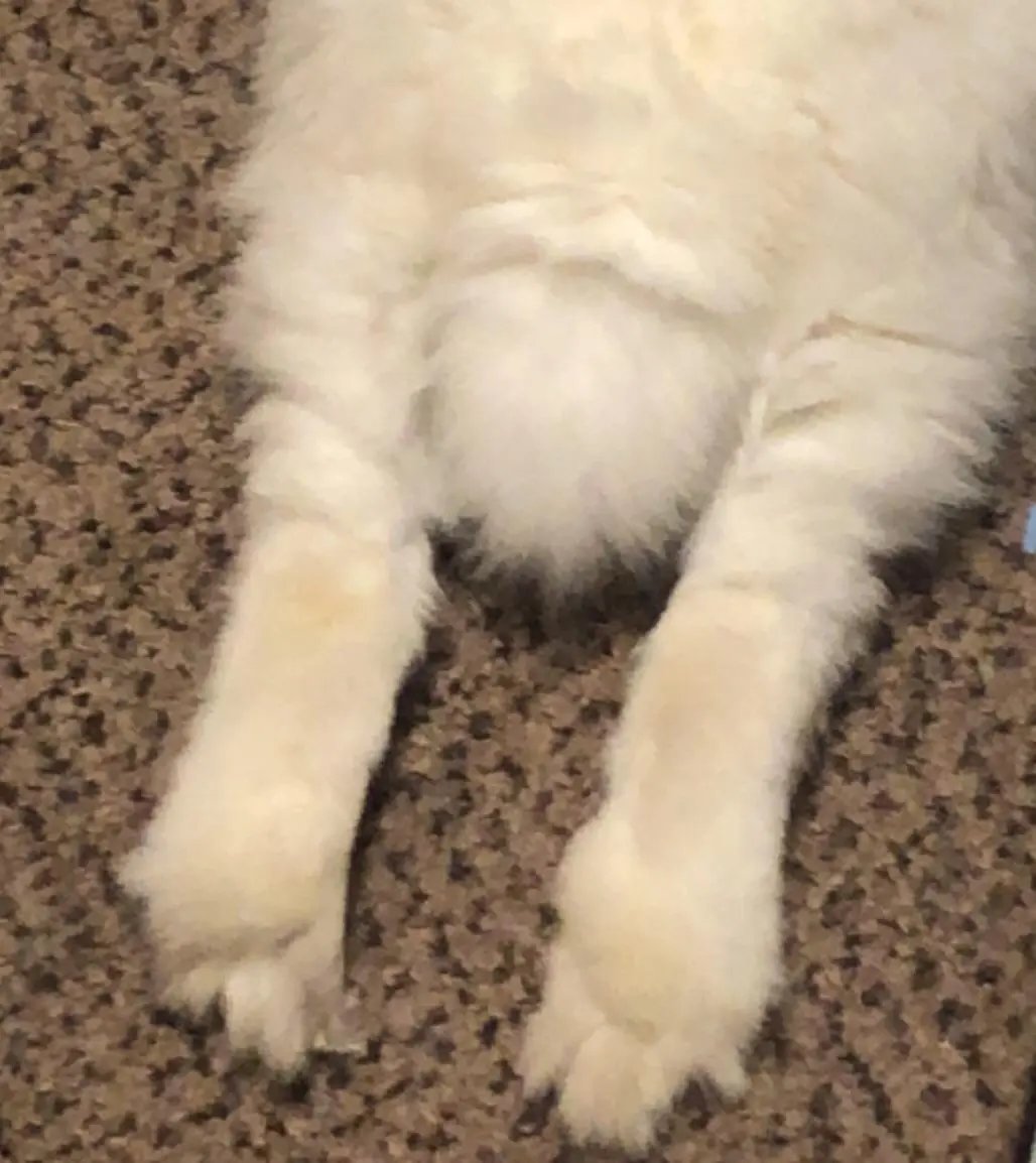 Barnaby and his big ole peets | Scrolller