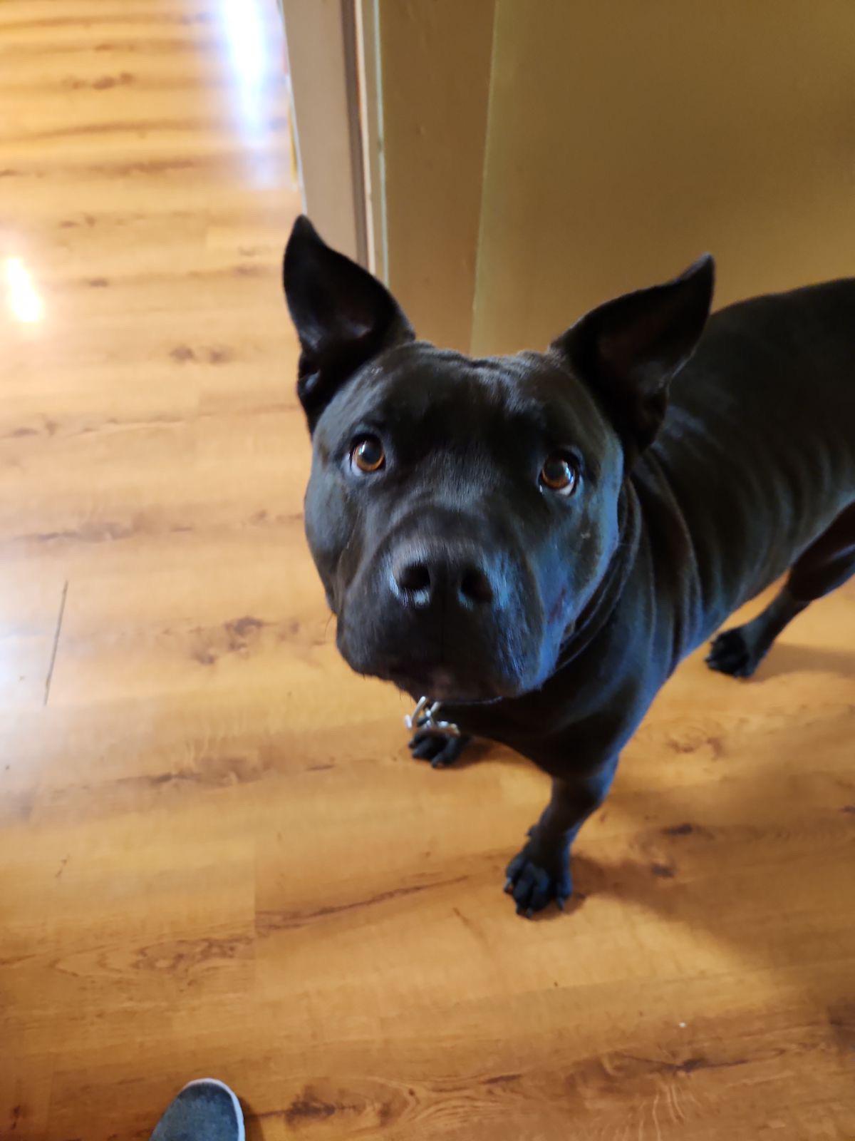 Barney the great big barnacle boy says hello!! | Scrolller