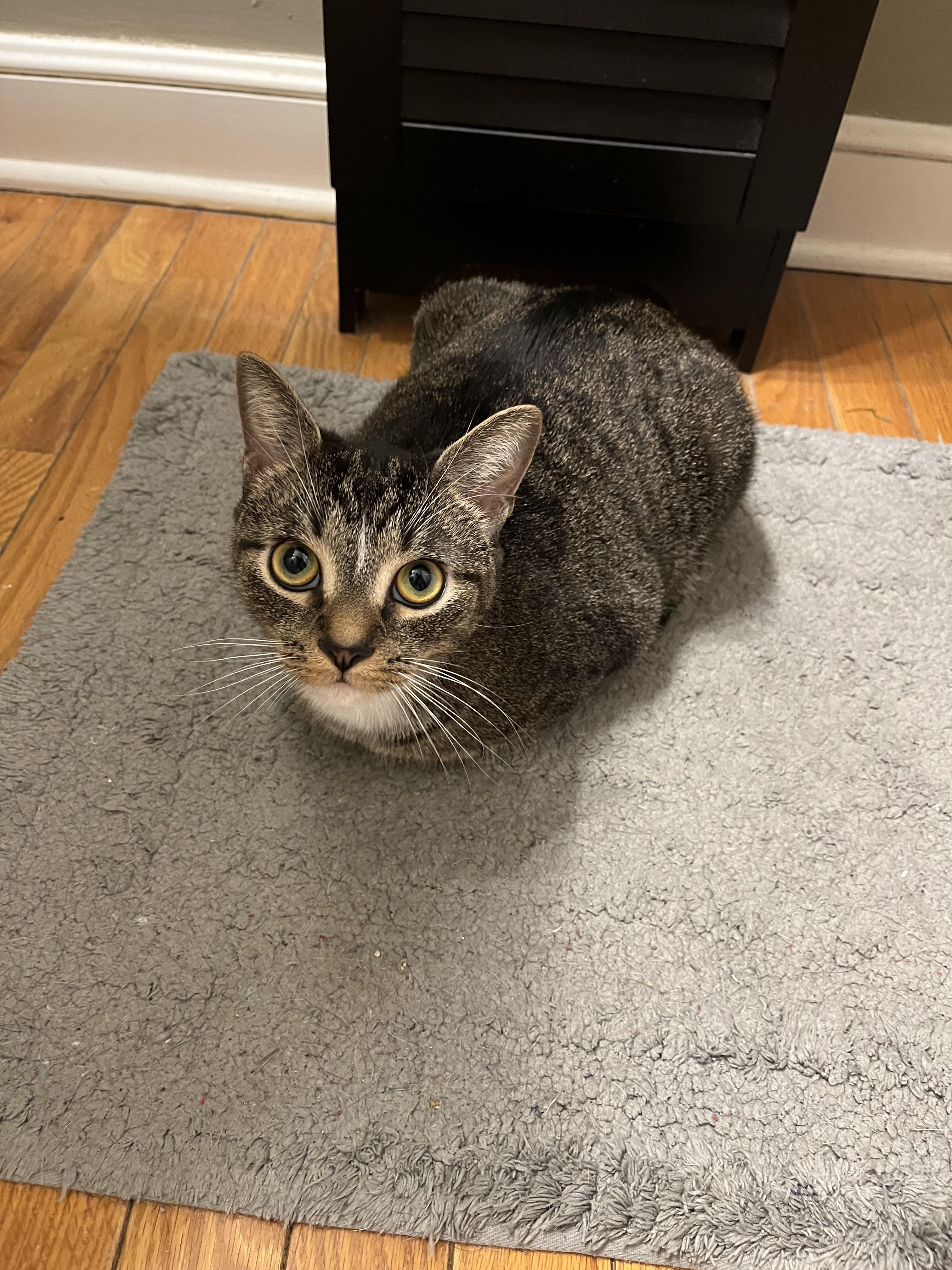 Bathroom loaf | Scrolller