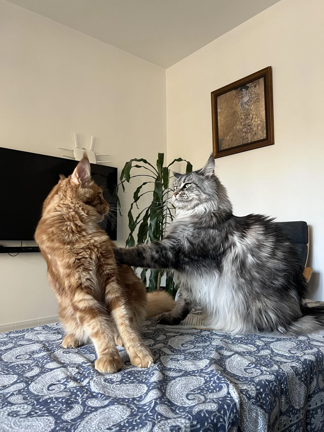 Keep the distance | Scrolller