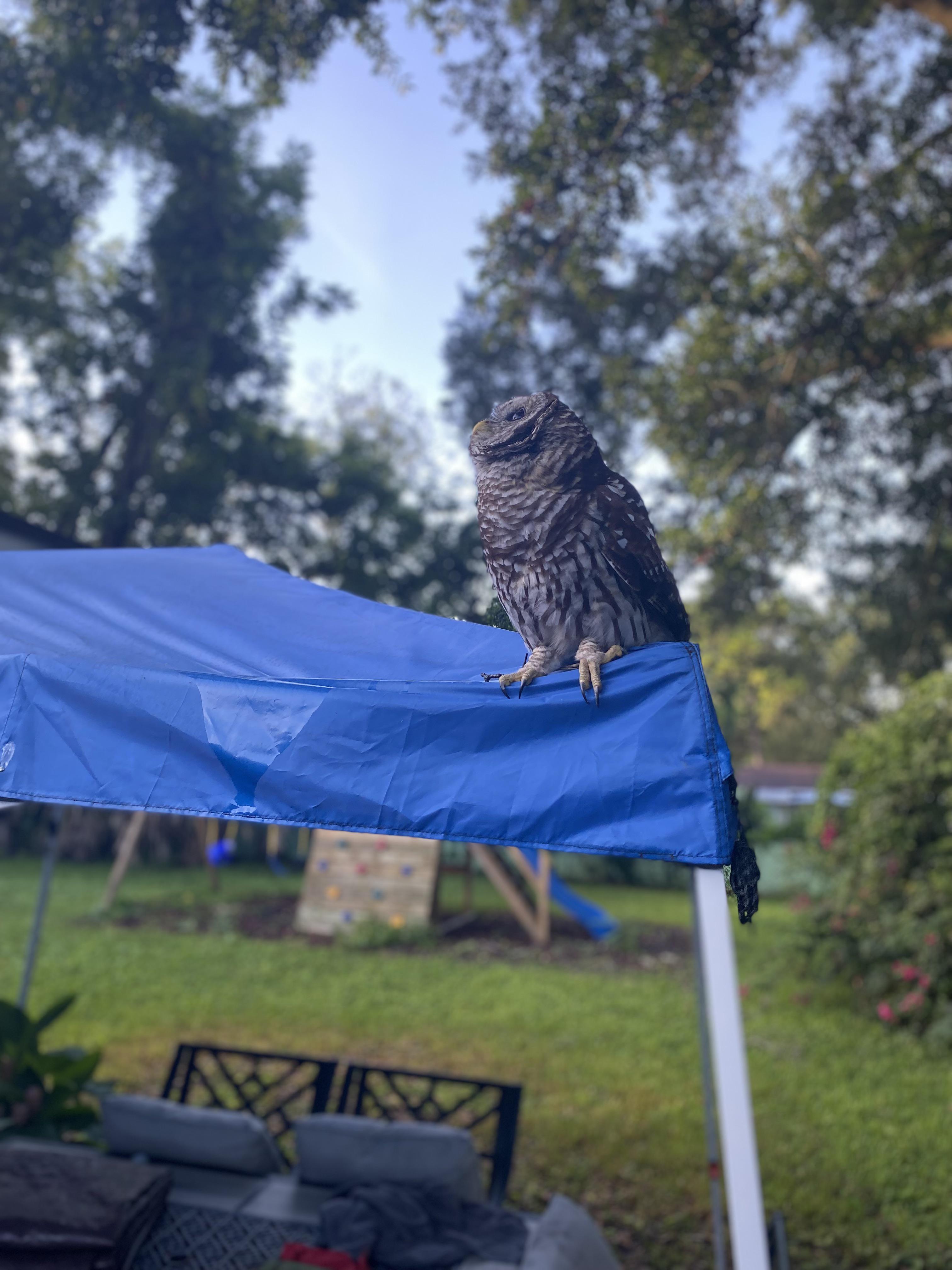 Back for a visit! | Scrolller