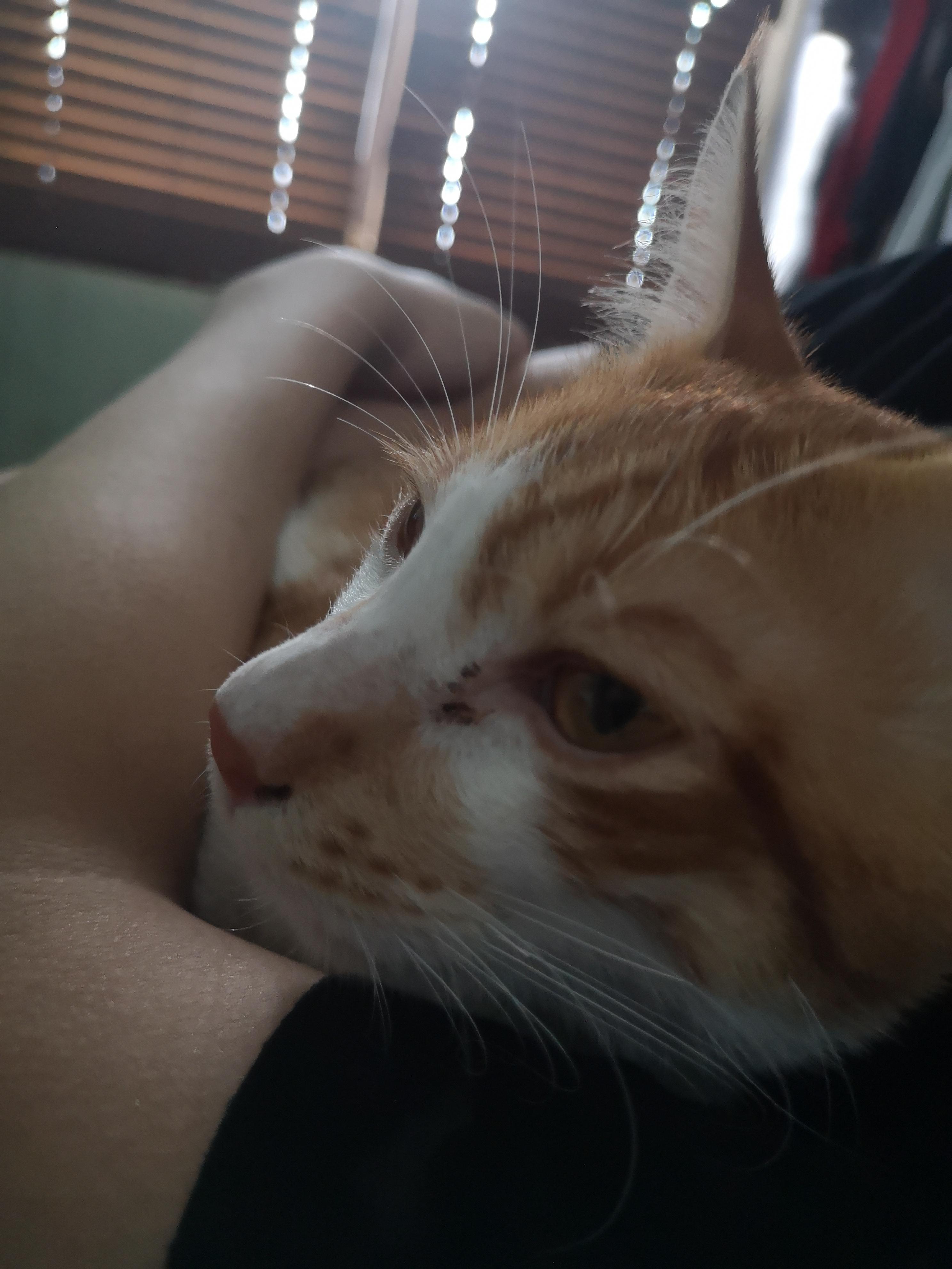 lovin the cuddles | Scrolller