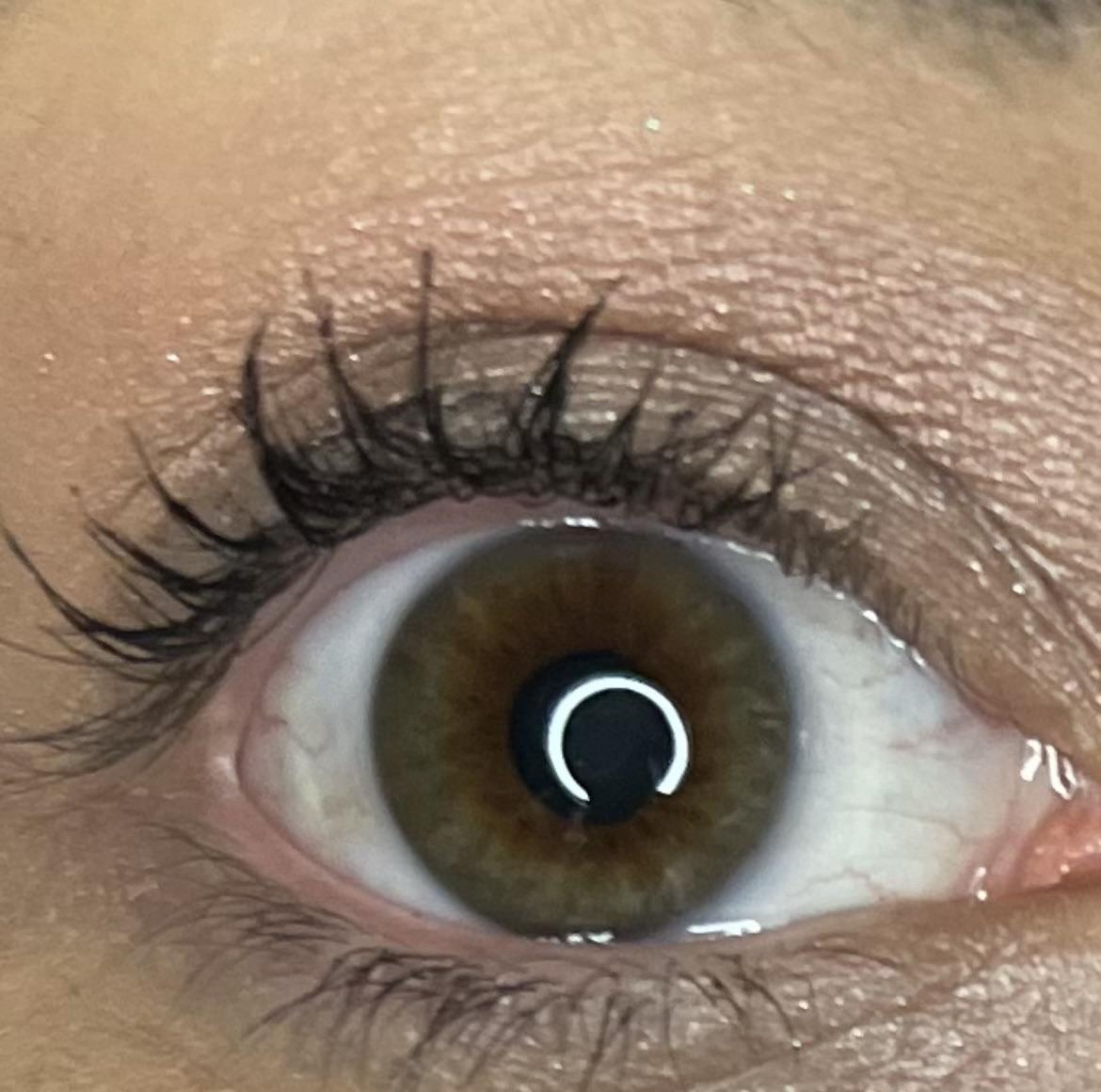 Brown or Hazel? | Scrolller