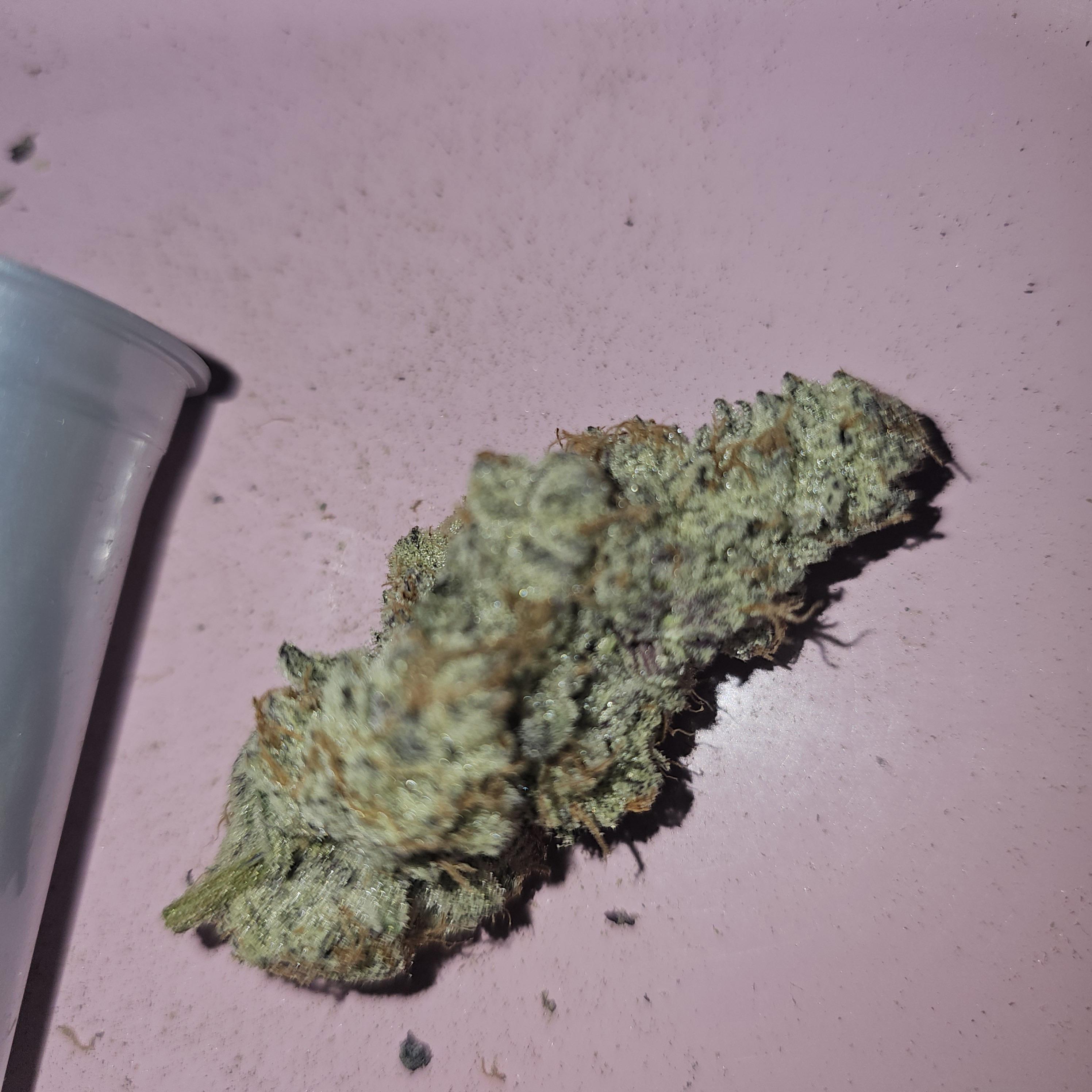 Goods from Maine | Scrolller