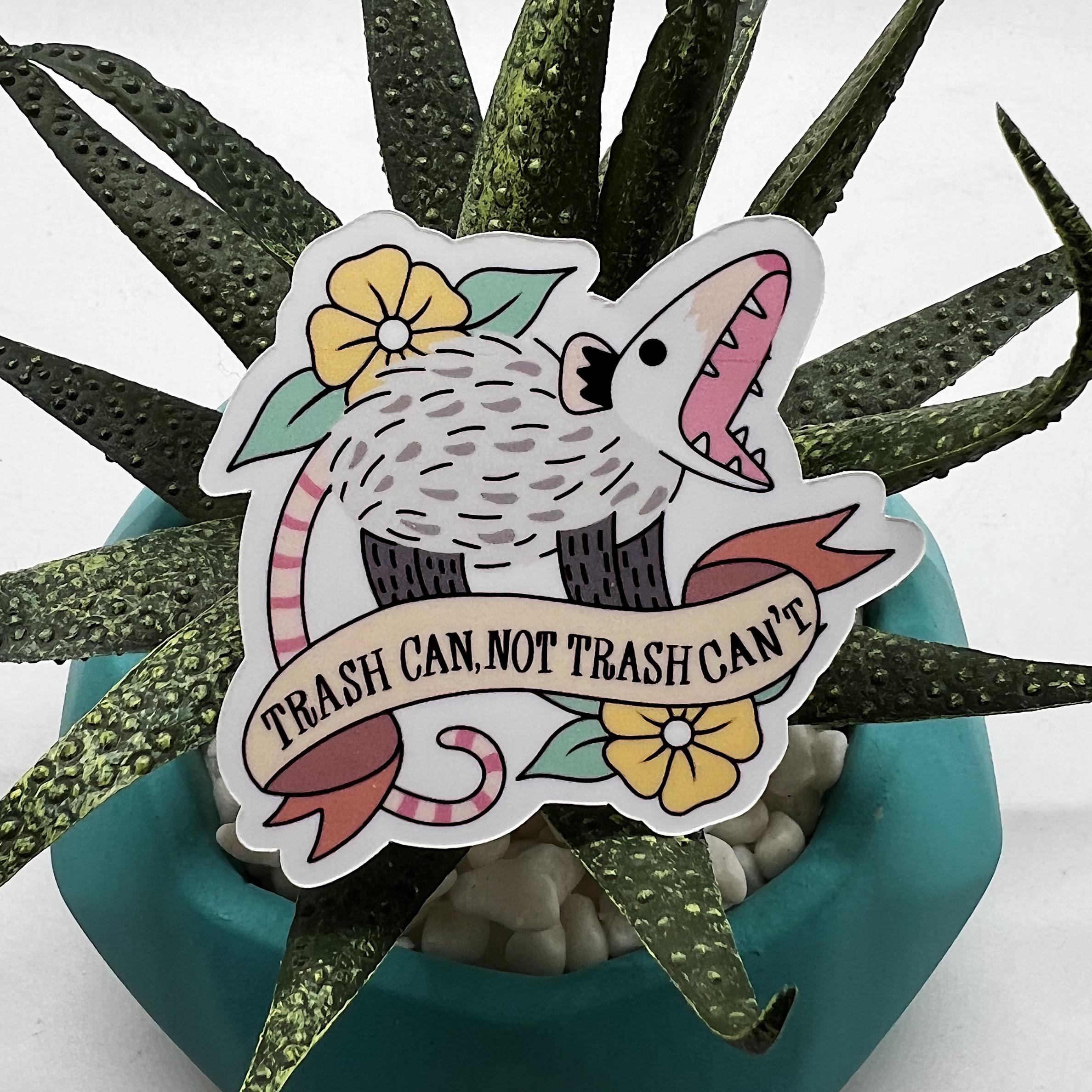 positive possum | Scrolller