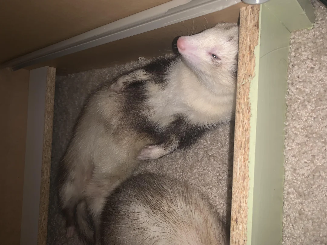 She lays awake at night like she’s months behind on her bills | Scrolller