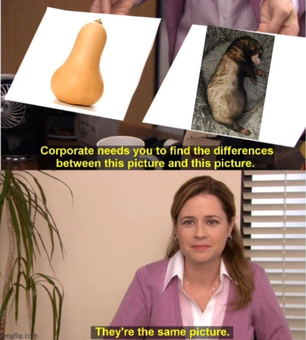 Mr sneeze the butternut squash | Scrolller