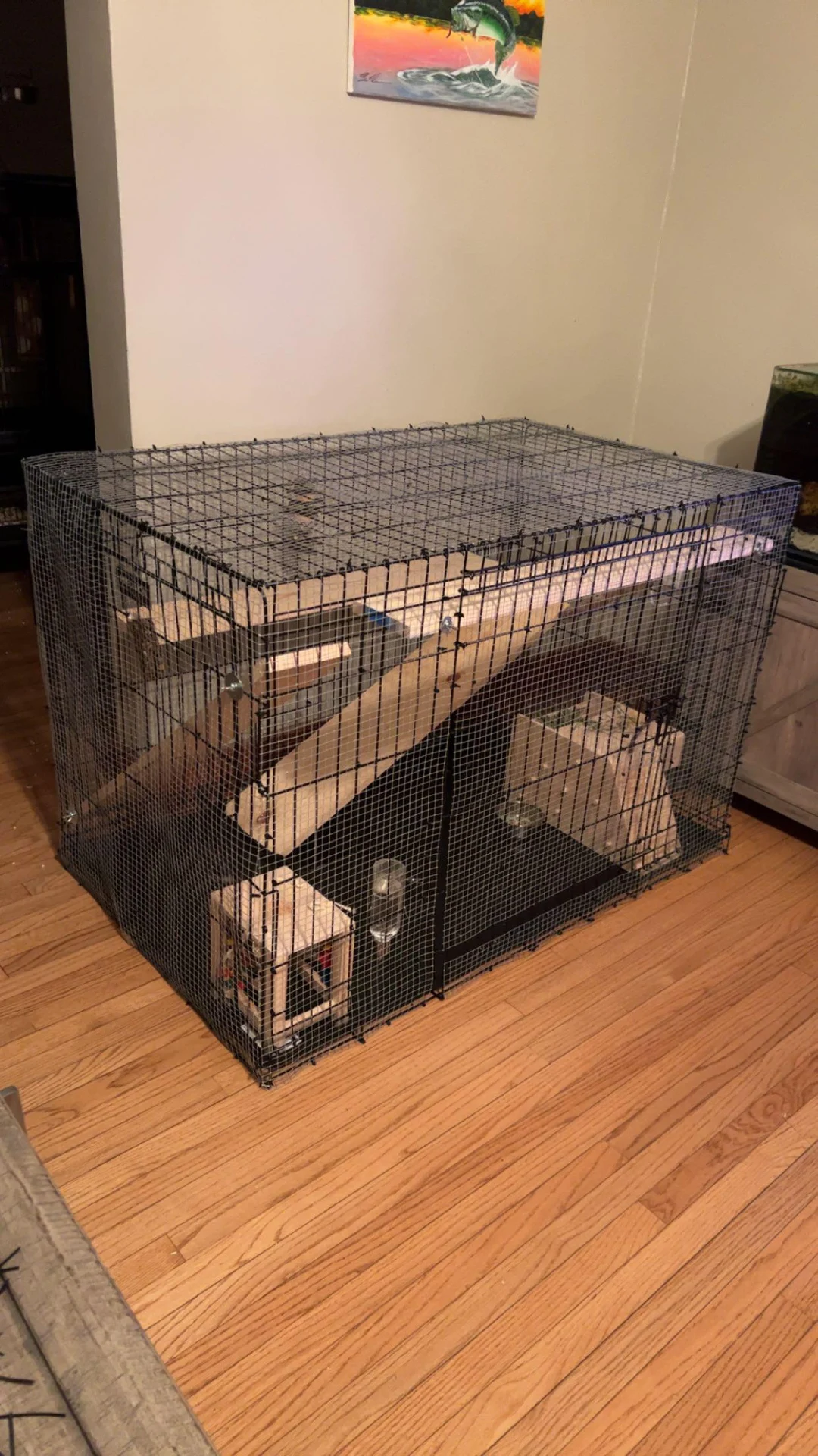 Dog Crate Aka Chinchilla Cage? | Scrolller