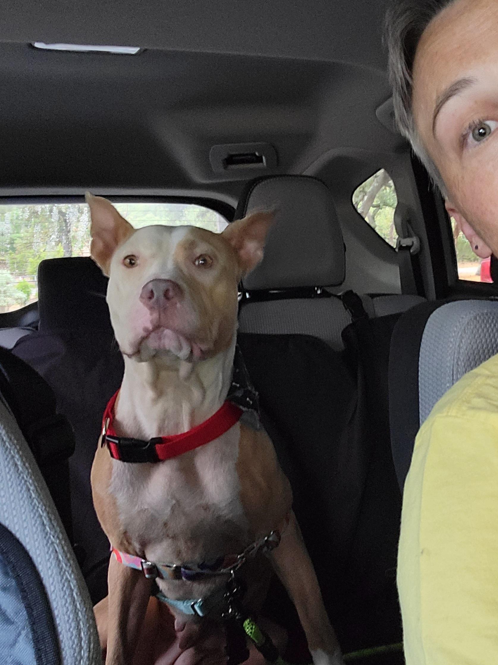 [OC] My foster copilot smiles | Scrolller