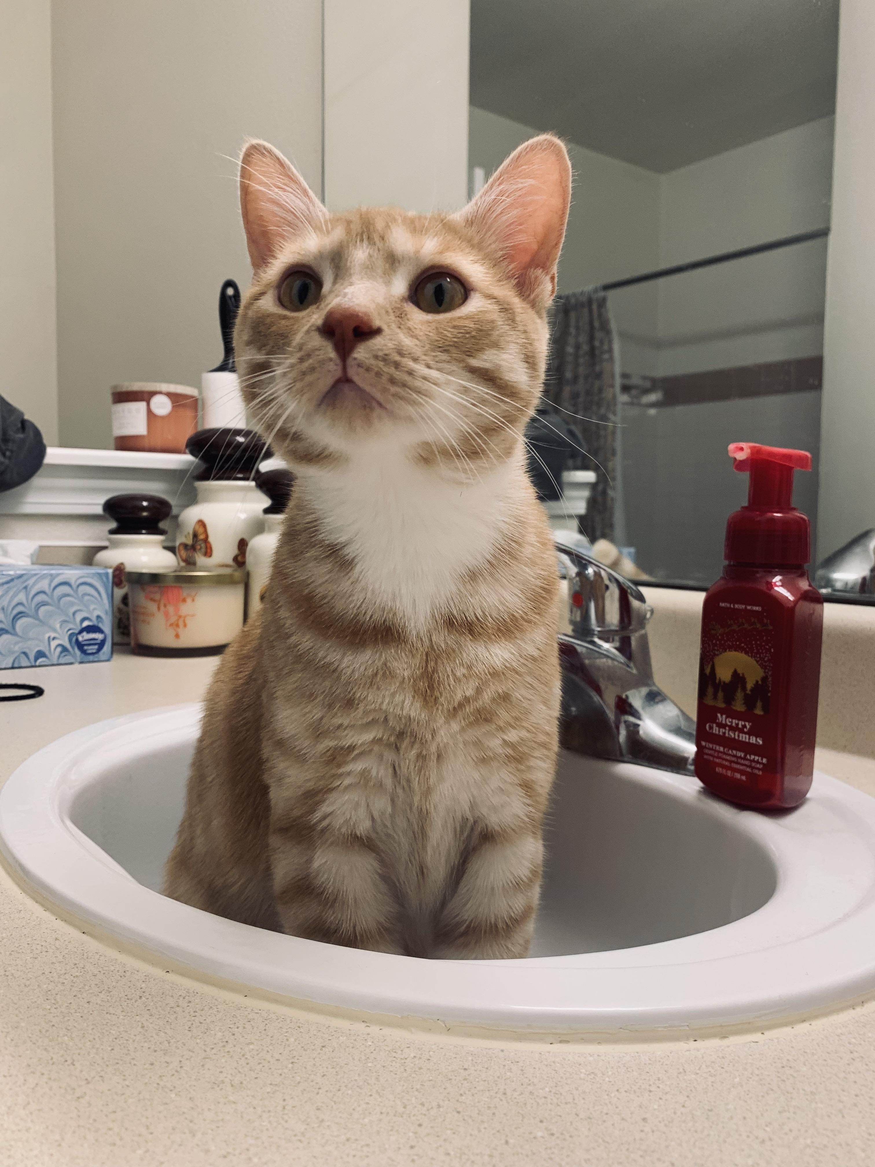 He discovered the sink | Scrolller
