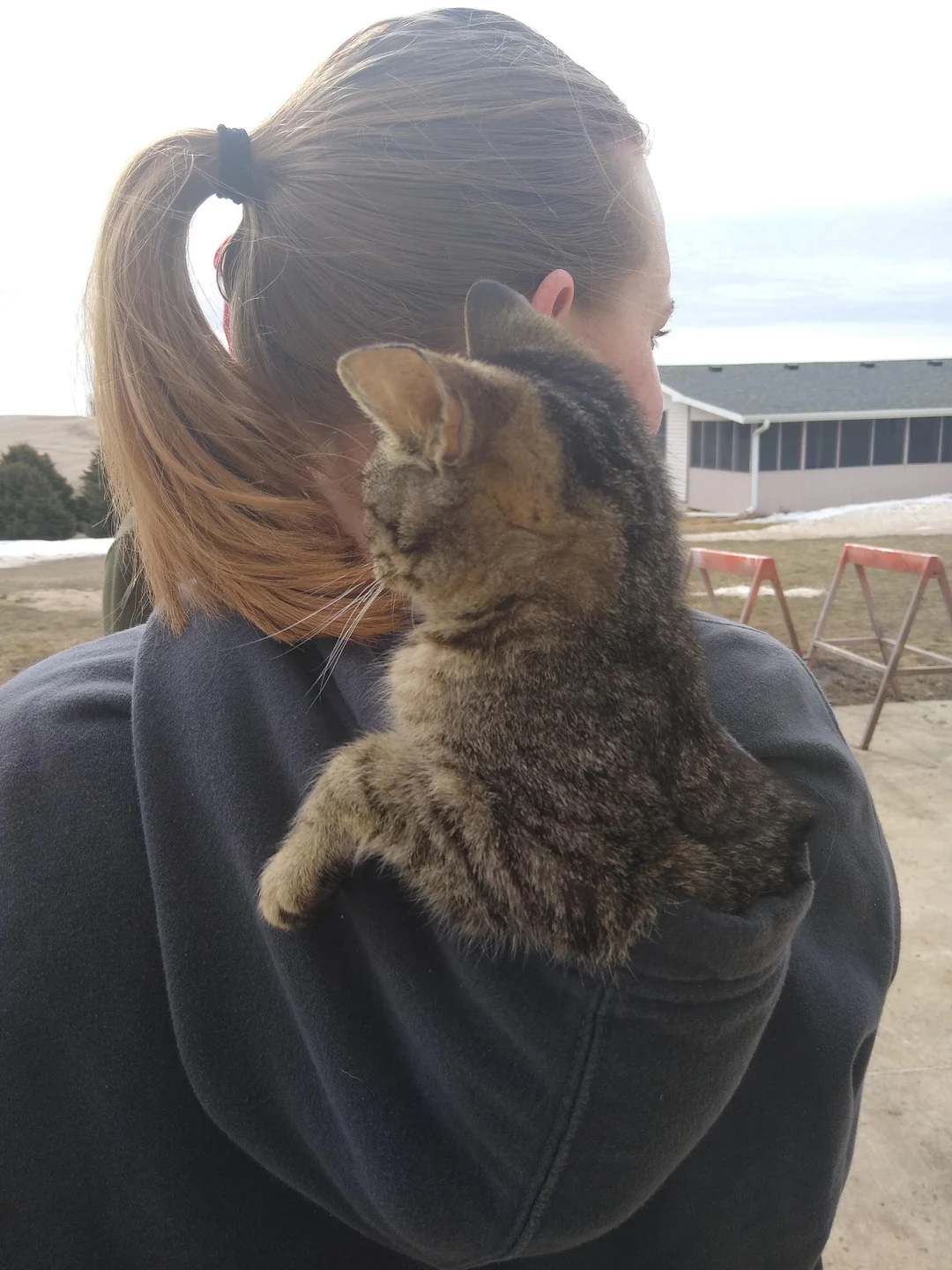 Apparently this belongs here? Anyway meet my new kitten. | Scrolller