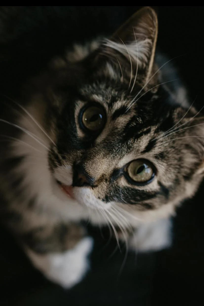 Back when Winston was still a little bean | Scrolller