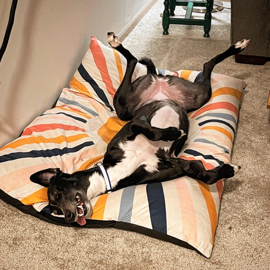 She’s okay - just resting. 😂 | Scrolller