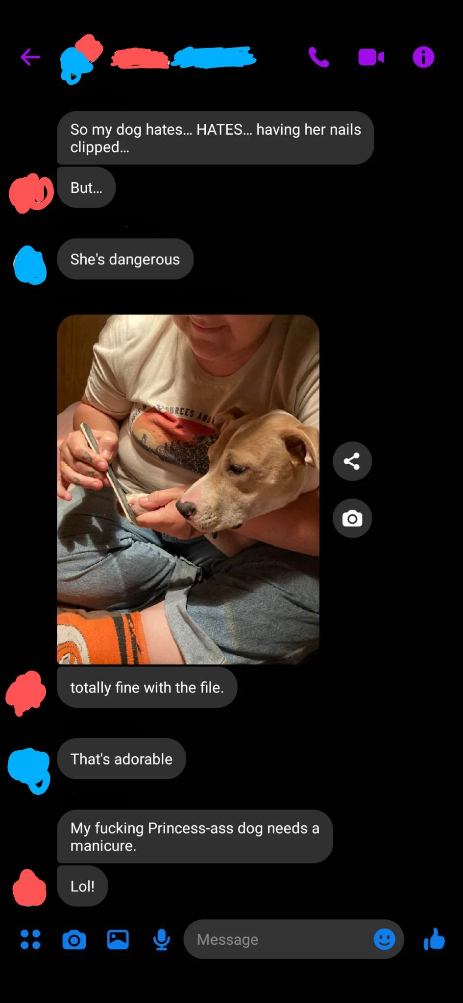 Pampering Required | Scrolller