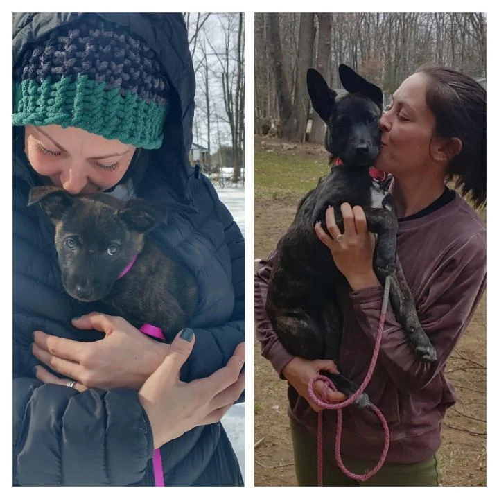 A lot has changed in 6 weeks! | Scrolller