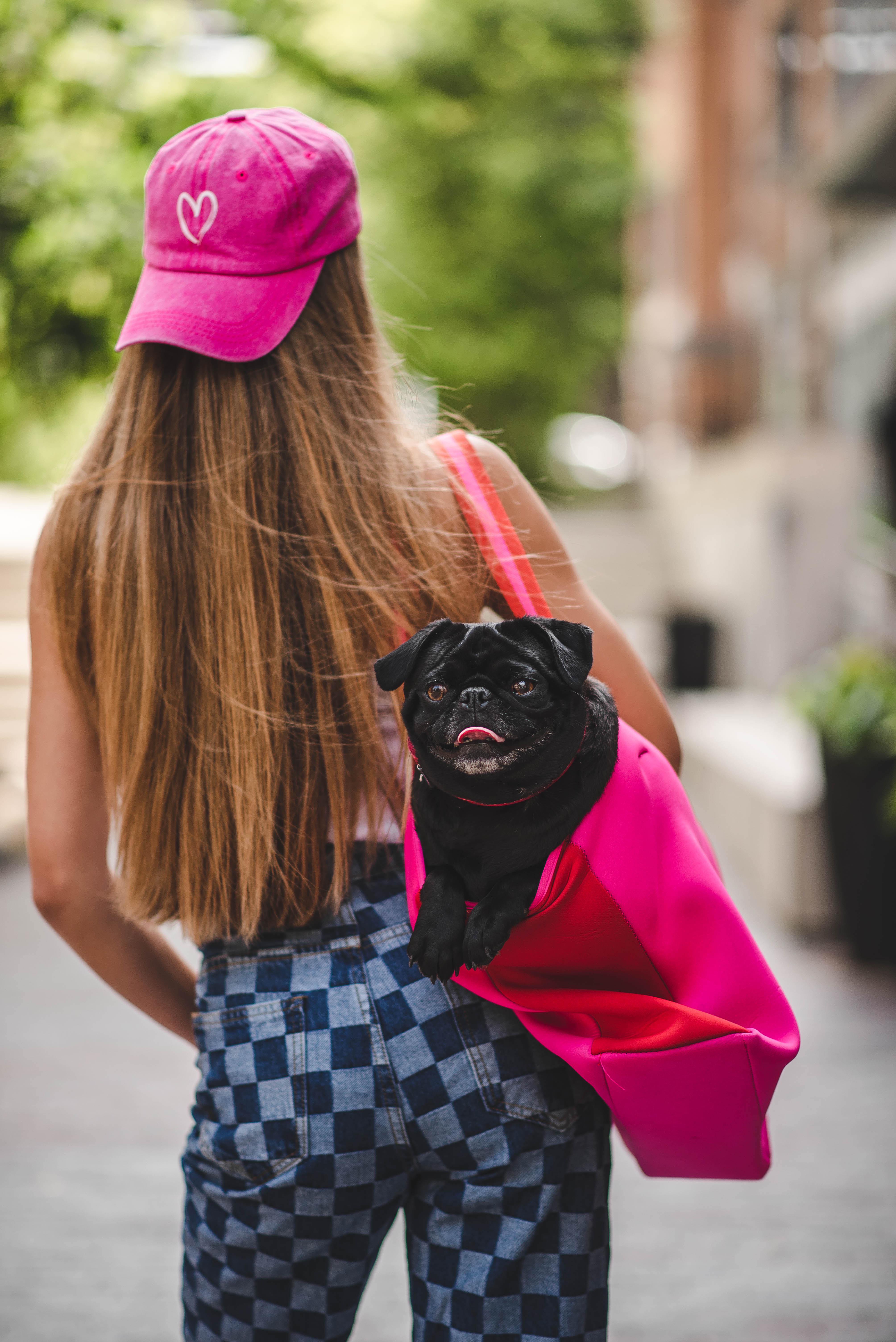 Pup in a purse (oc) | Scrolller