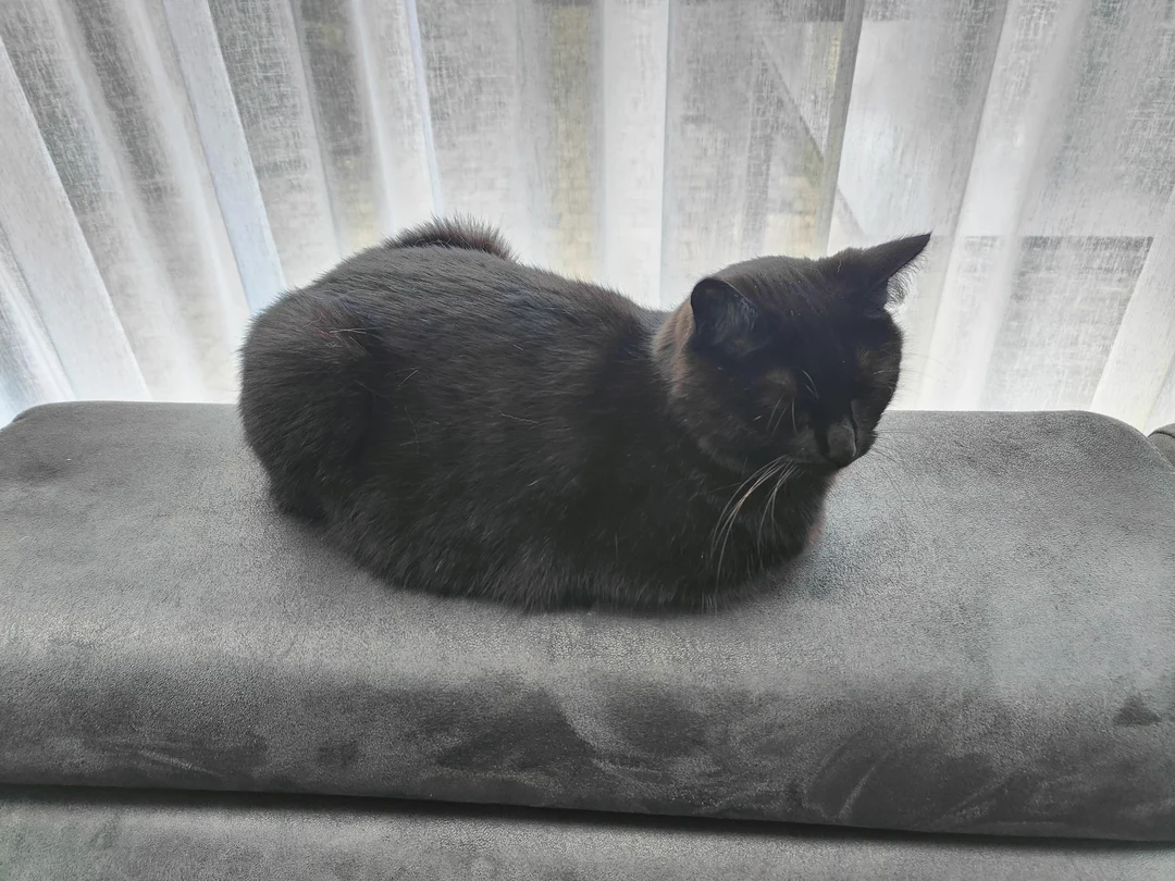 Couch loafing void | Scrolller