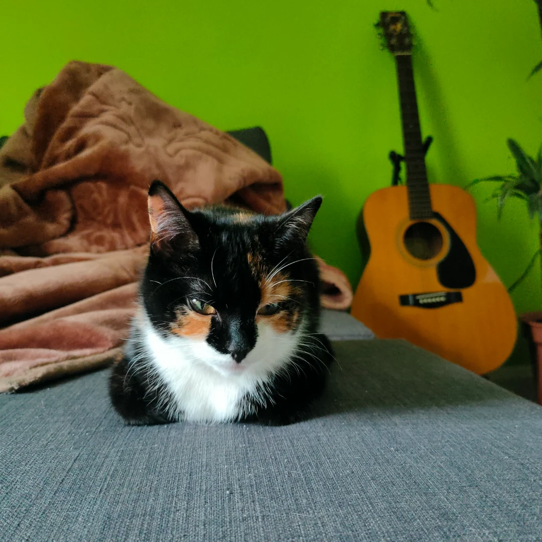 Perfect loaf | Scrolller